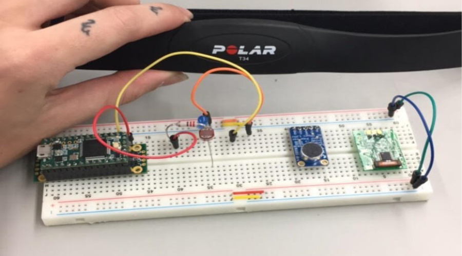 Heart Synth Monitor | The Color of Sound